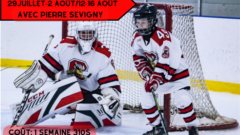 ÉCOLE DE HOCKEY CHARLESBOURG ÉTÉ - PIERRE SÉVIGNY ! | PROGRAMMES HOCKEY ...