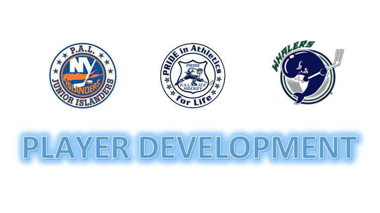 Long Island Amateur Hockey League