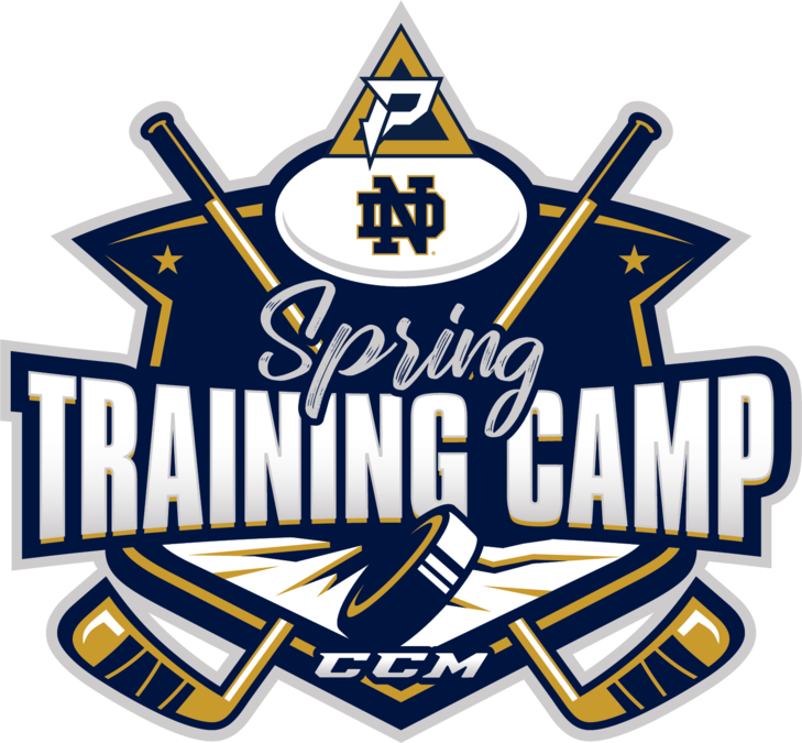 Training Camp Logo Mma Training Camp Badge Design Royalty Free Vector