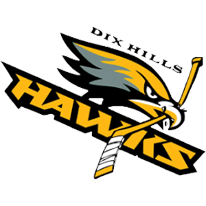 Long Island Amateur Hockey League