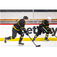 Ultimate Adult Hockey League