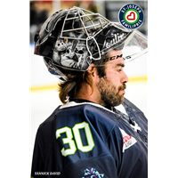 Ligue Hockey Côte-Sud