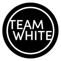 Winding River Adult Hockey League