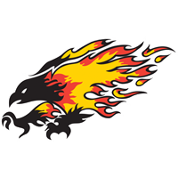 OneHockey