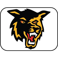 Statewide Florida Hockey League