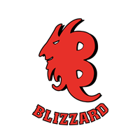 Blizzard SSF