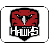 Statewide Florida Hockey League