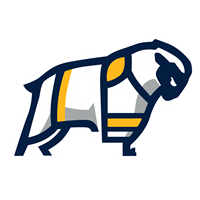 Ultimate Adult Hockey League