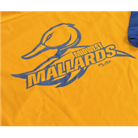 Play Hockey - Early Trailblazer